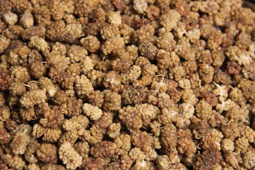 Moerbeibessen - De Notenkoning